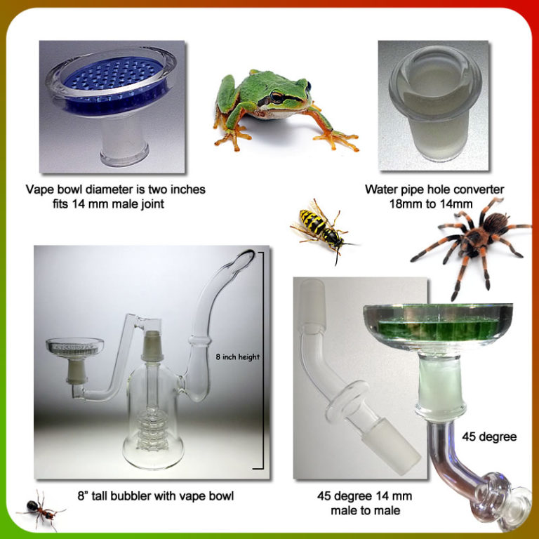 Glass Popup | Dragon Lighters